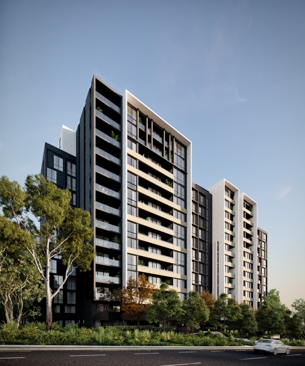 VIMG | Local Legacy and Global Vision